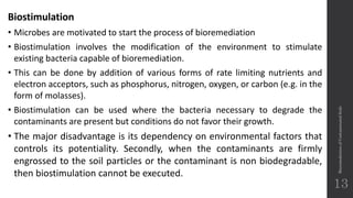 bioremediation_of_contaminated_soils_ppt.pptx