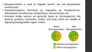 bioremediation_of_contaminated_soils_ppt.pptx