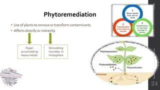 bioremediation_of_contaminated_soils_ppt.pptx