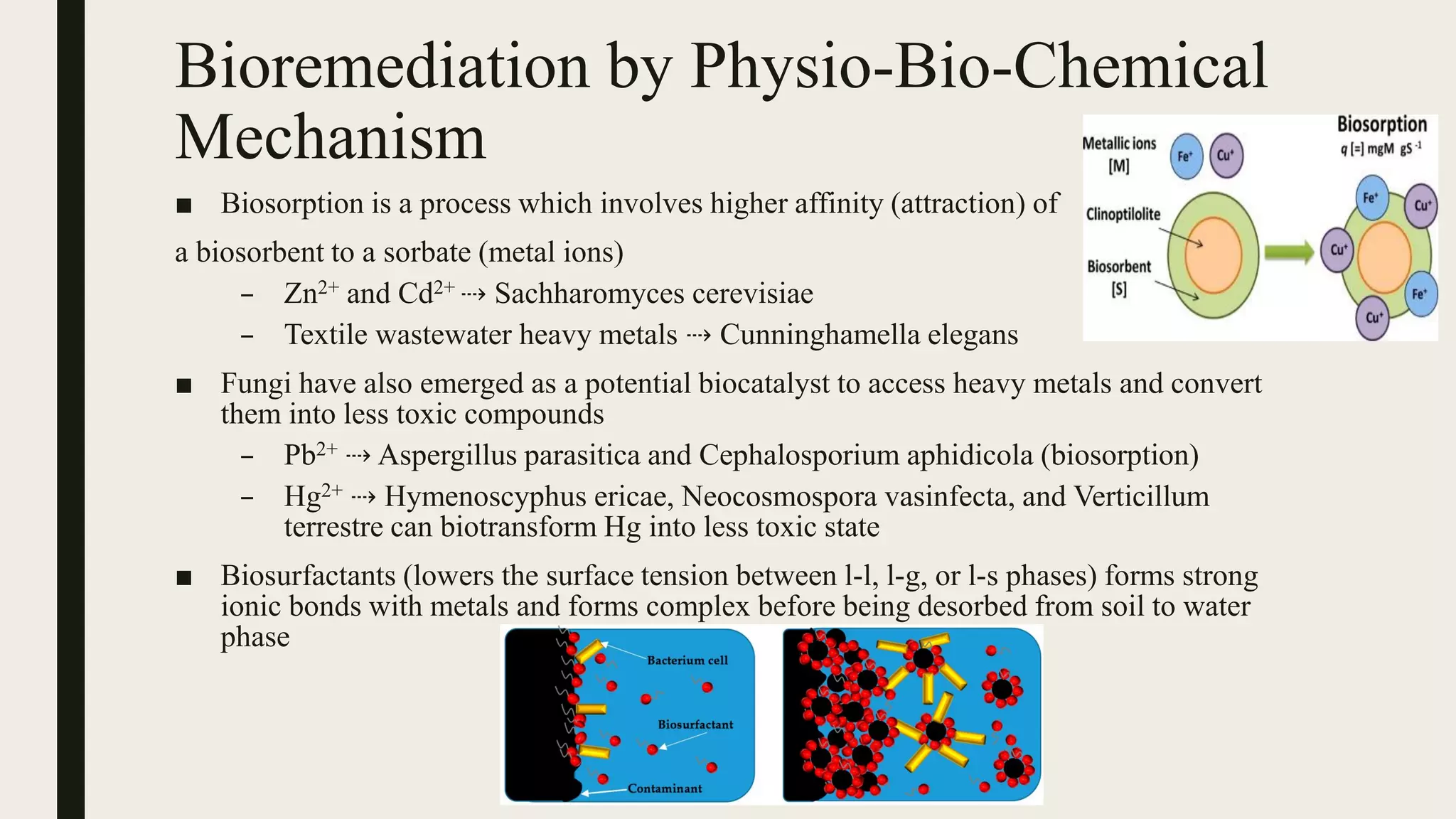 Bioremediation of Heavy Metals from Soil and Aquatic Environment: An Overview of Principles and ...