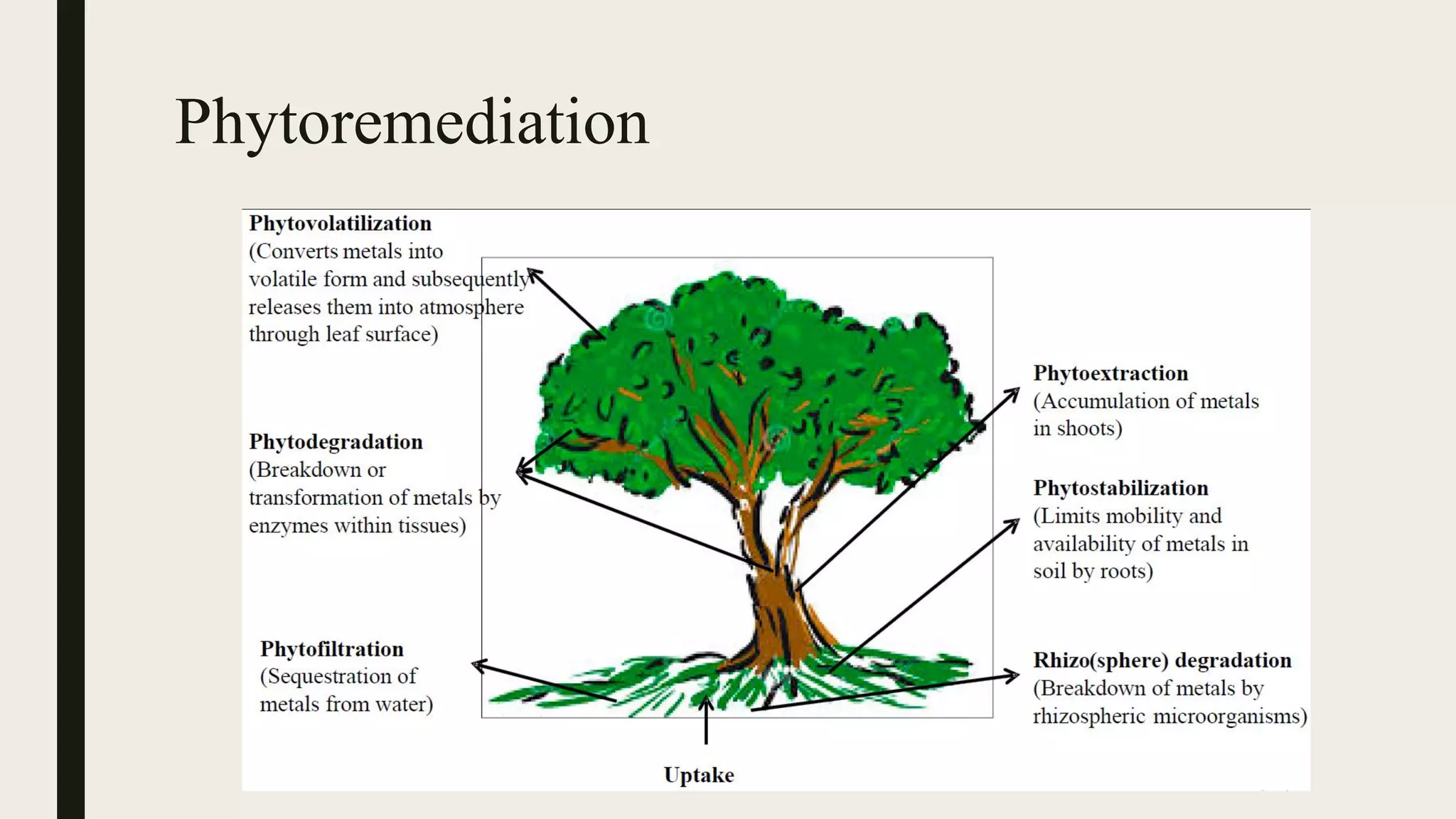 Bioremediation of Heavy Metals from Soil and Aquatic Environment: An Overview of Principles and ...