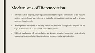 Bioremediation of Heavy Metals from Soil and Aquatic Environment: An Overview of Principles and ...