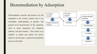 Bioremediation of Heavy Metals from Soil and Aquatic Environment: An Overview of Principles and ...