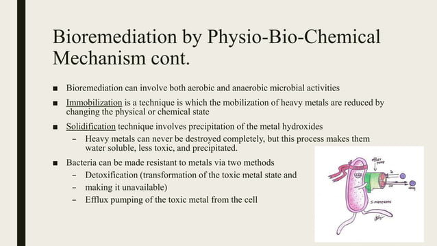Bioremediation of Heavy Metals from Soil and Aquatic Environment: An Overview of Principles and ...