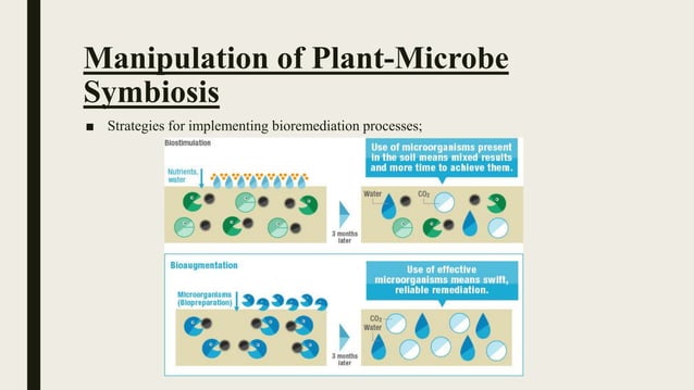 Bioremediation of Heavy Metals from Soil and Aquatic Environment: An Overview of Principles and ...