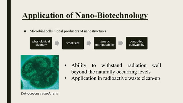 Bioremediation of Heavy Metals from Soil and Aquatic Environment: An Overview of Principles and ...