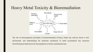 Bioremediation of Heavy Metals from Soil and Aquatic Environment: An Overview of Principles and ...