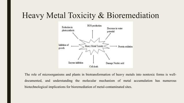 Bioremediation of Heavy Metals from Soil and Aquatic Environment: An Overview of Principles and ...