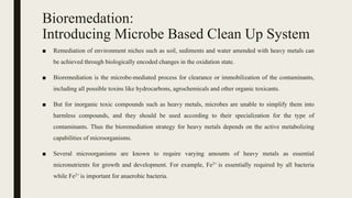 Bioremediation of Heavy Metals from Soil and Aquatic Environment: An Overview of Principles and ...