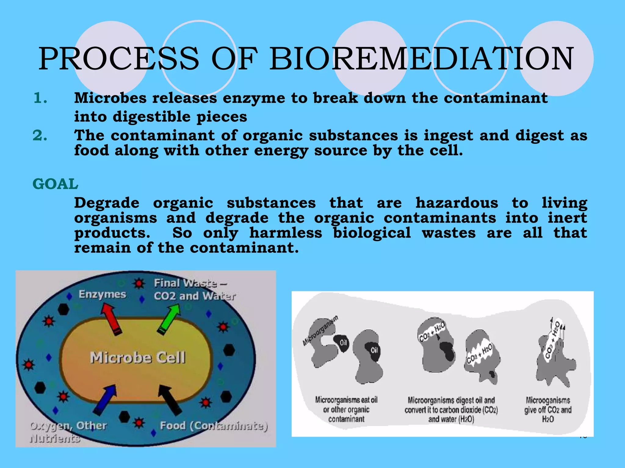Bioremediation_of_heavy_metals_in_soil.ppt