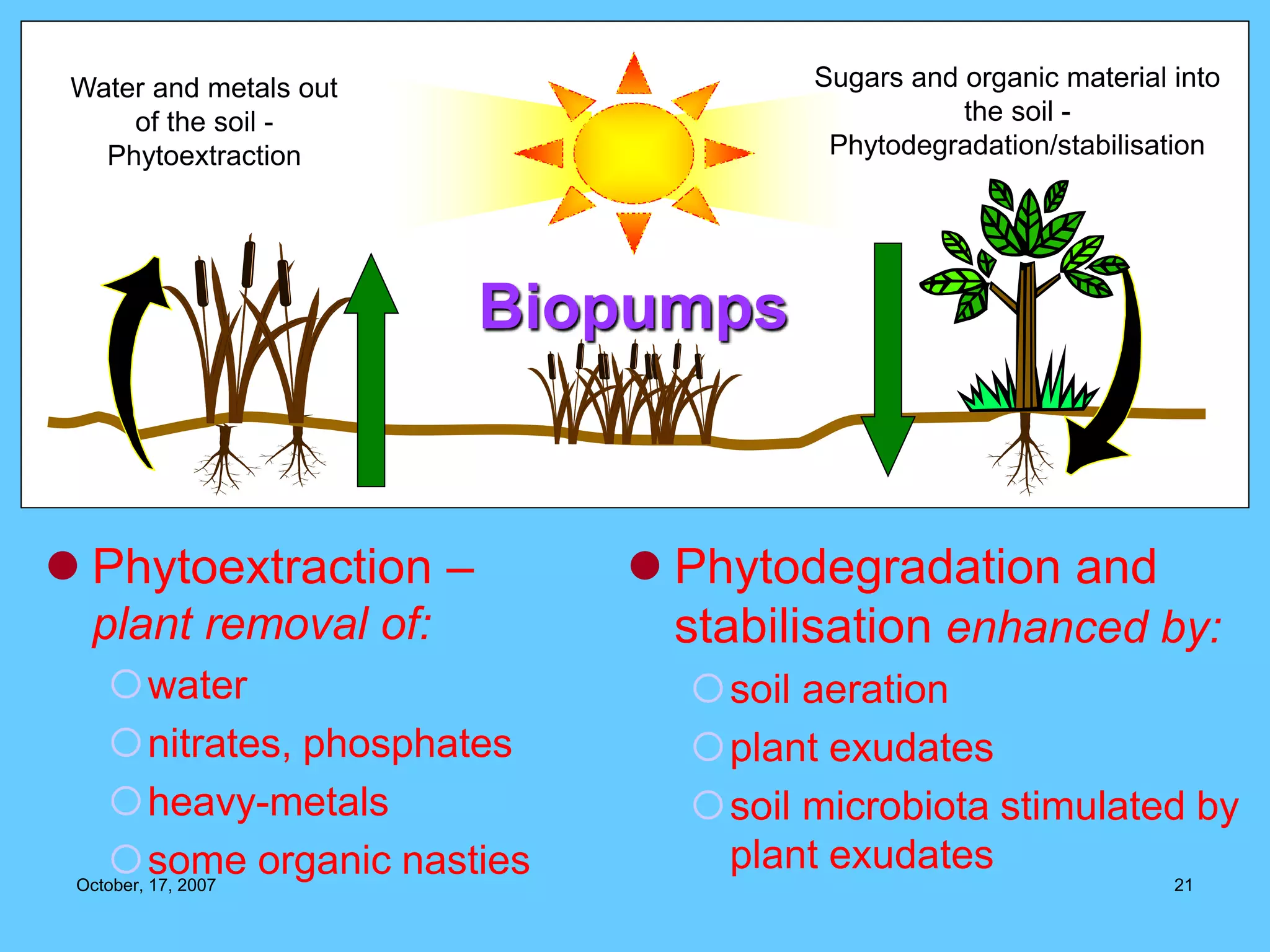 Bioremediation_of_heavy_metals_in_soil.ppt