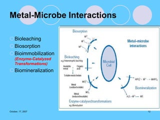 Bioremediation_of_heavy_metals_in_soil.ppt