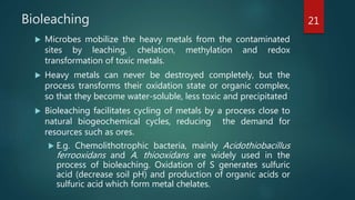 Bioremediation of metal contaminated soil | PPTX