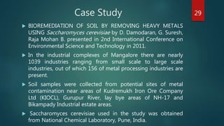 Bioremediation of metal contaminated soil | PPTX