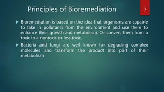 Bioremediation of metal contaminated soil | PPTX