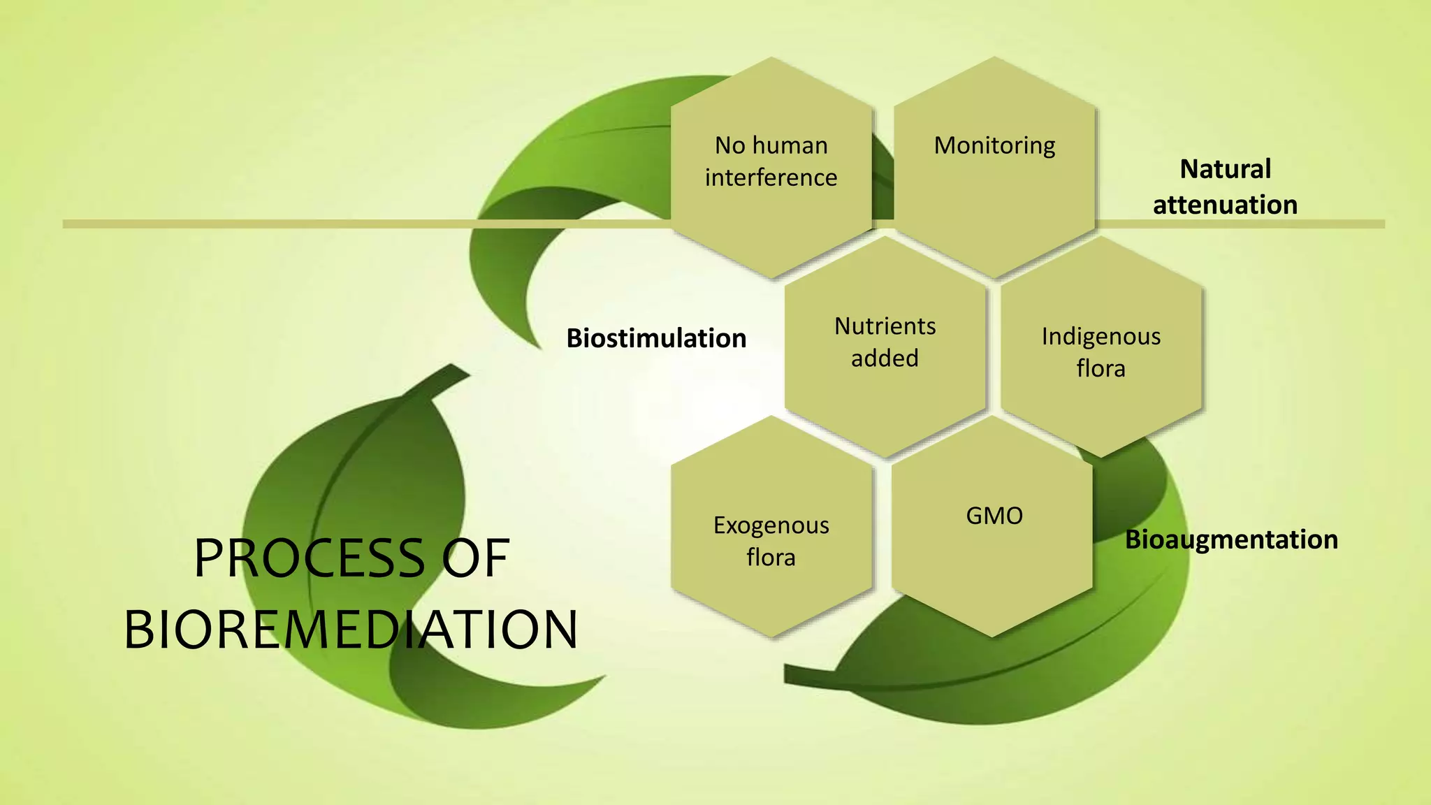 Oil spill Bioremediation | PPTX