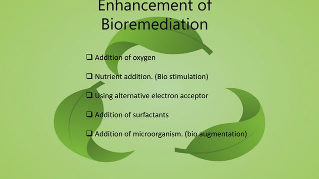 Oil spill Bioremediation | PPTX | Science