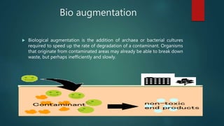 Bioremediation of oil spills | PPTX