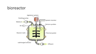 Bioremediation of soil contaminated polycyclic aromatic hydrocarbon | PPTX