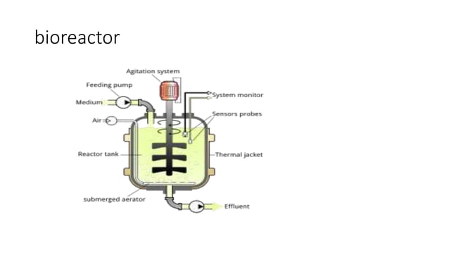 Bioremediation of soil contaminated polycyclic aromatic hydrocarbon | PPTX | Gardening | Home ...