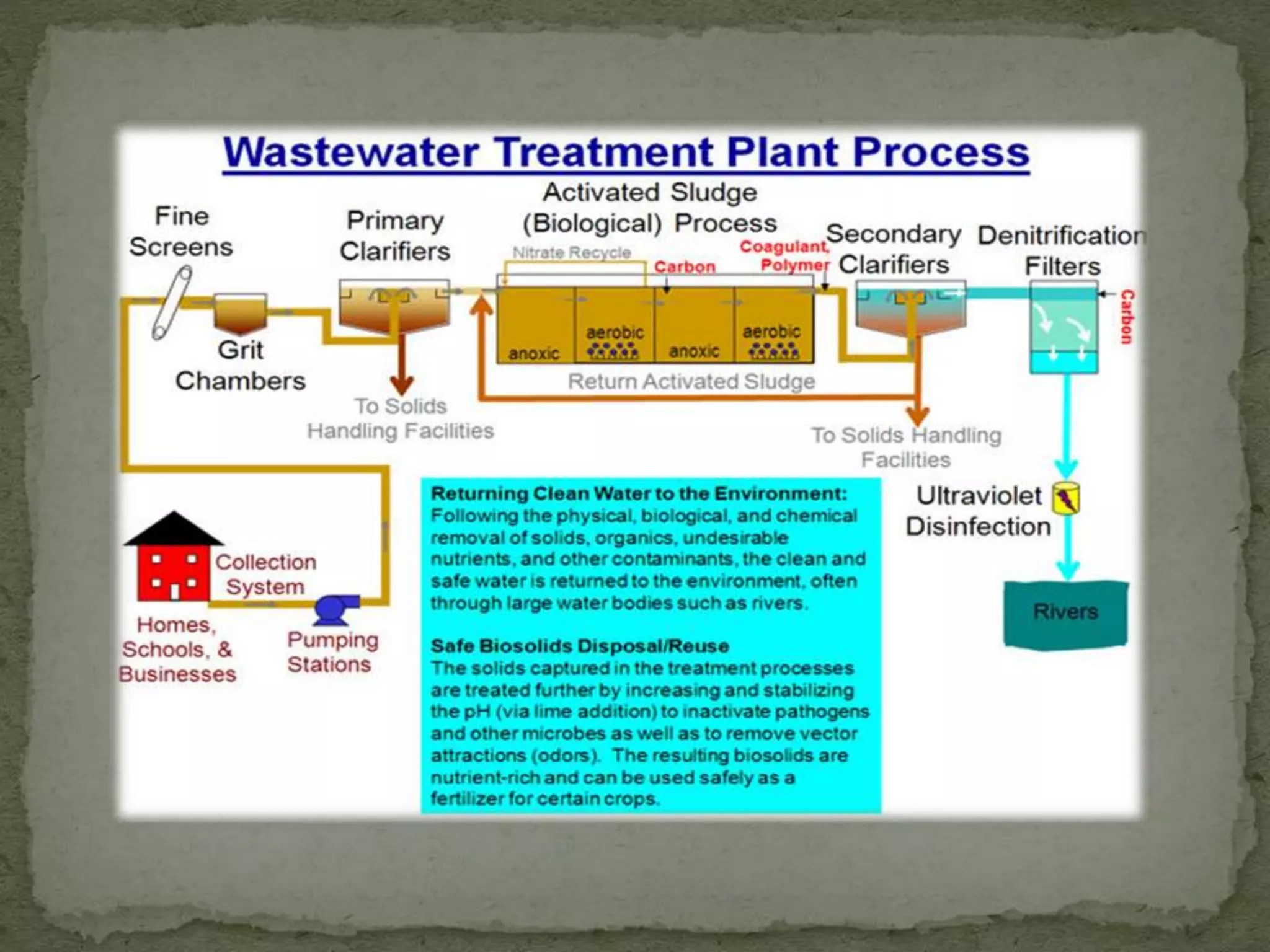 Bioremediation of wastewater by microorganisms | PPTX
