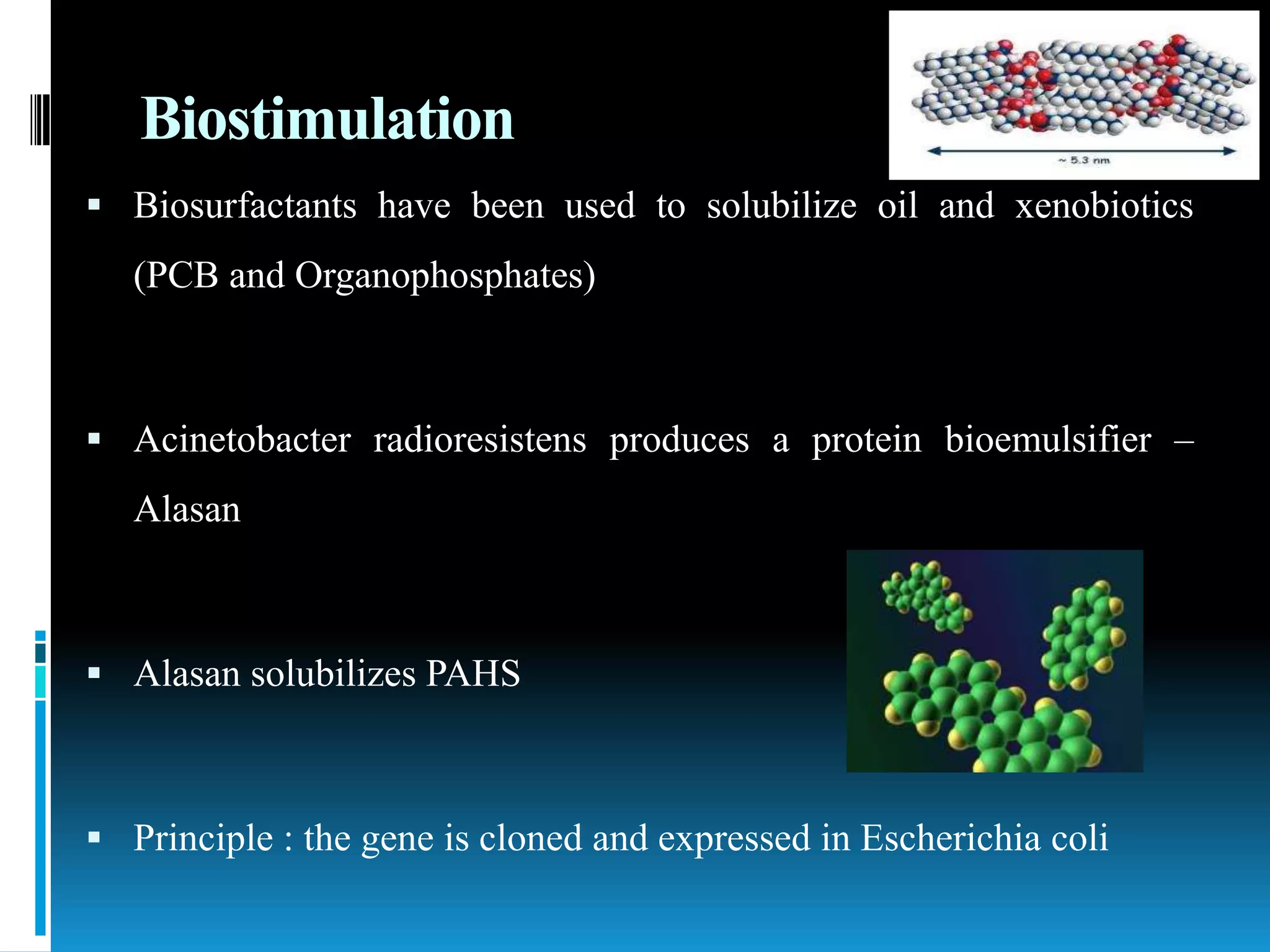 Bioremediation and Phytoremediation | PPTX