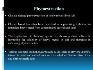 Bioremediation and Phytoremediation | PPTX