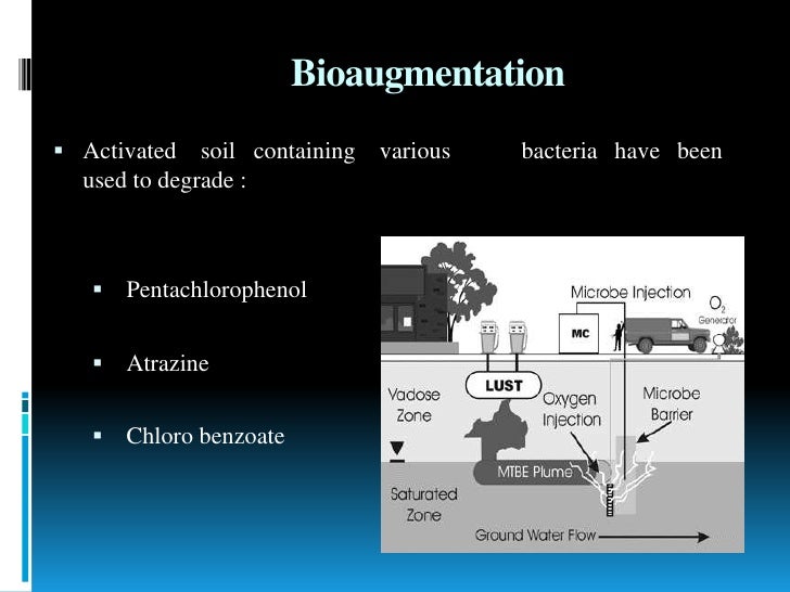 Bioremediation and Phytoremediation