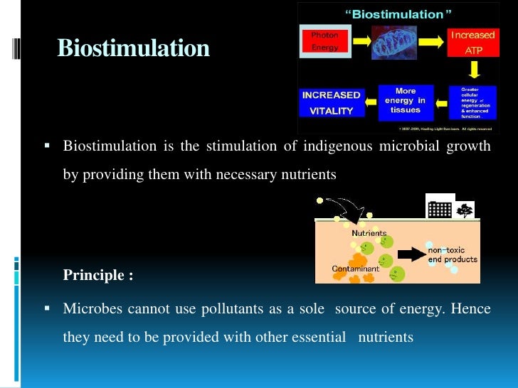 Biostimulation And Bioaugmentation
