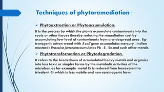 Bioremediation &phytoremediation | PPT