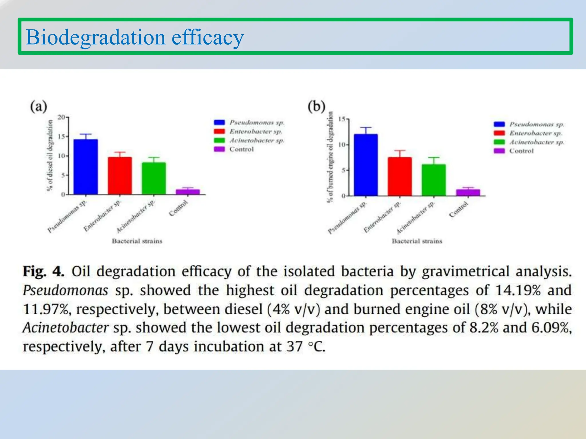 Bioremediation potential of hydrocarbon degrading bacteria.pptx