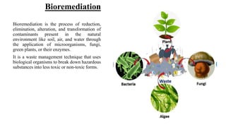 Bioremediation ppt.pptx