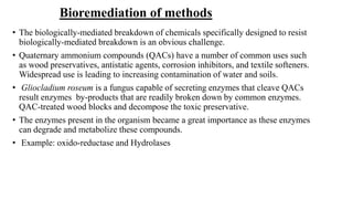 Bioremediation ppt.pptx