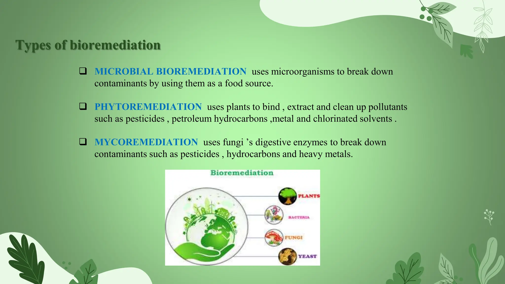 Microbes involved in aerobic and anaerobic process in nature | PPTX