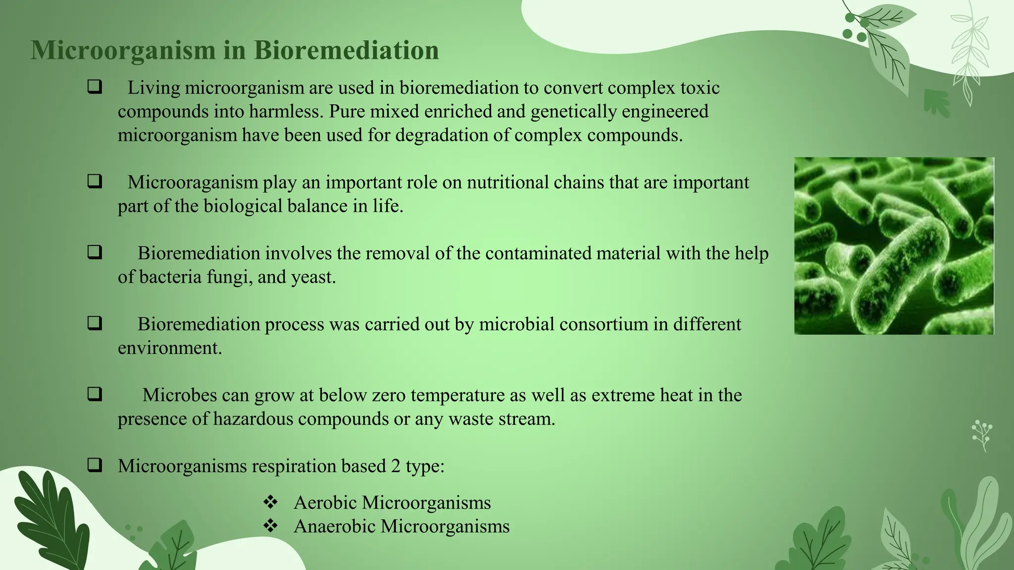 Microbes involved in aerobic and anaerobic process in nature | PPTX