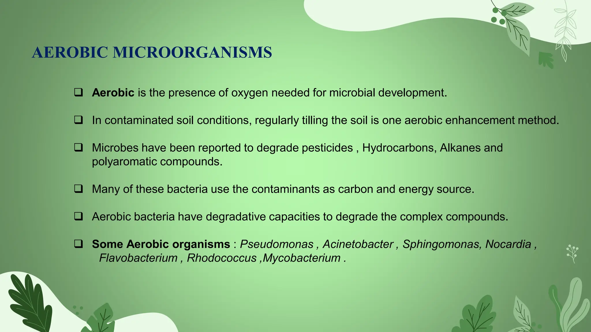 Microbes involved in aerobic and anaerobic process in nature | PPTX