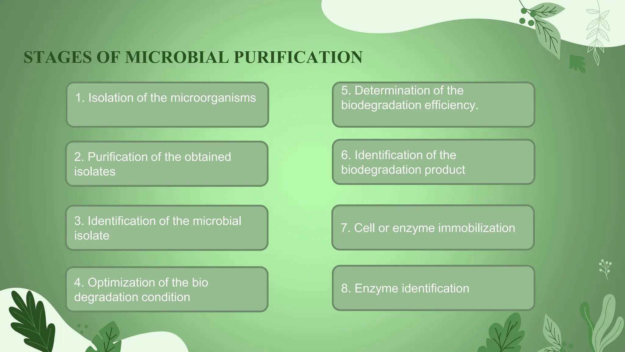 Microbes involved in aerobic and anaerobic process in nature | PPTX