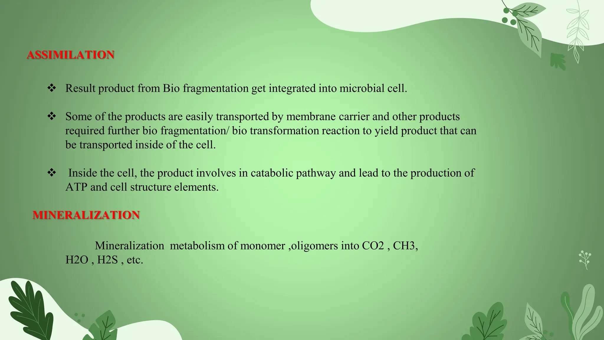 Microbes involved in aerobic and anaerobic process in nature | PPTX