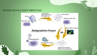 Microbes involved in aerobic and anaerobic process in nature | PPTX ...