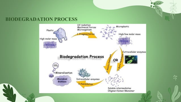 Microbes involved in aerobic and anaerobic process in nature | PPTX ...