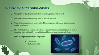 Microbes involved in aerobic and anaerobic process in nature | PPTX ...