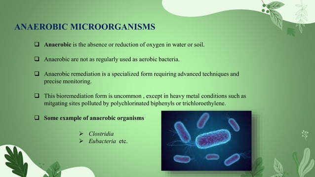 Microbes involved in aerobic and anaerobic process in nature | PPTX ...