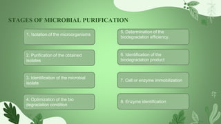 Microbes involved in aerobic and anaerobic process in nature | PPTX ...