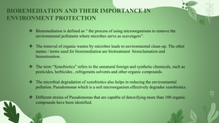 Microbes involved in aerobic and anaerobic process in nature | PPTX | Science