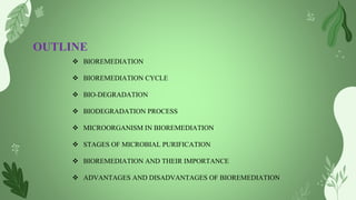 Microbes involved in aerobic and anaerobic process in nature | PPTX ...