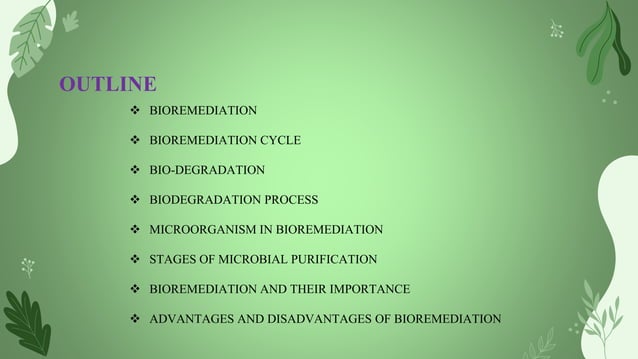 Microbes involved in aerobic and anaerobic process in nature | PPTX ...