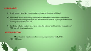 Microbes involved in aerobic and anaerobic process in nature | PPTX ...