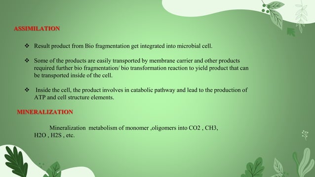 Microbes involved in aerobic and anaerobic process in nature | PPTX ...