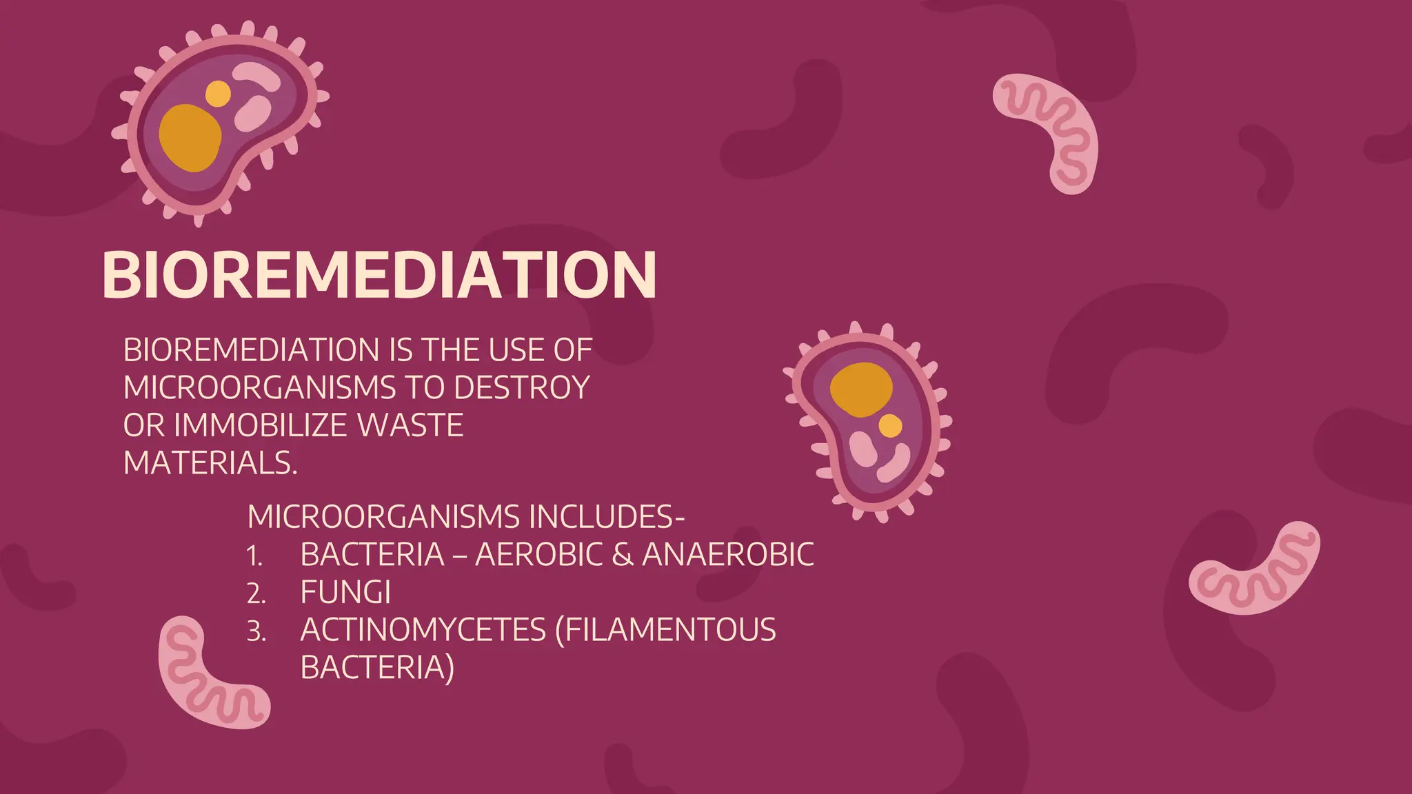 BIOREMEDIATION PPT.pptx