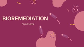 BIOREMEDIATION PPT.pptx